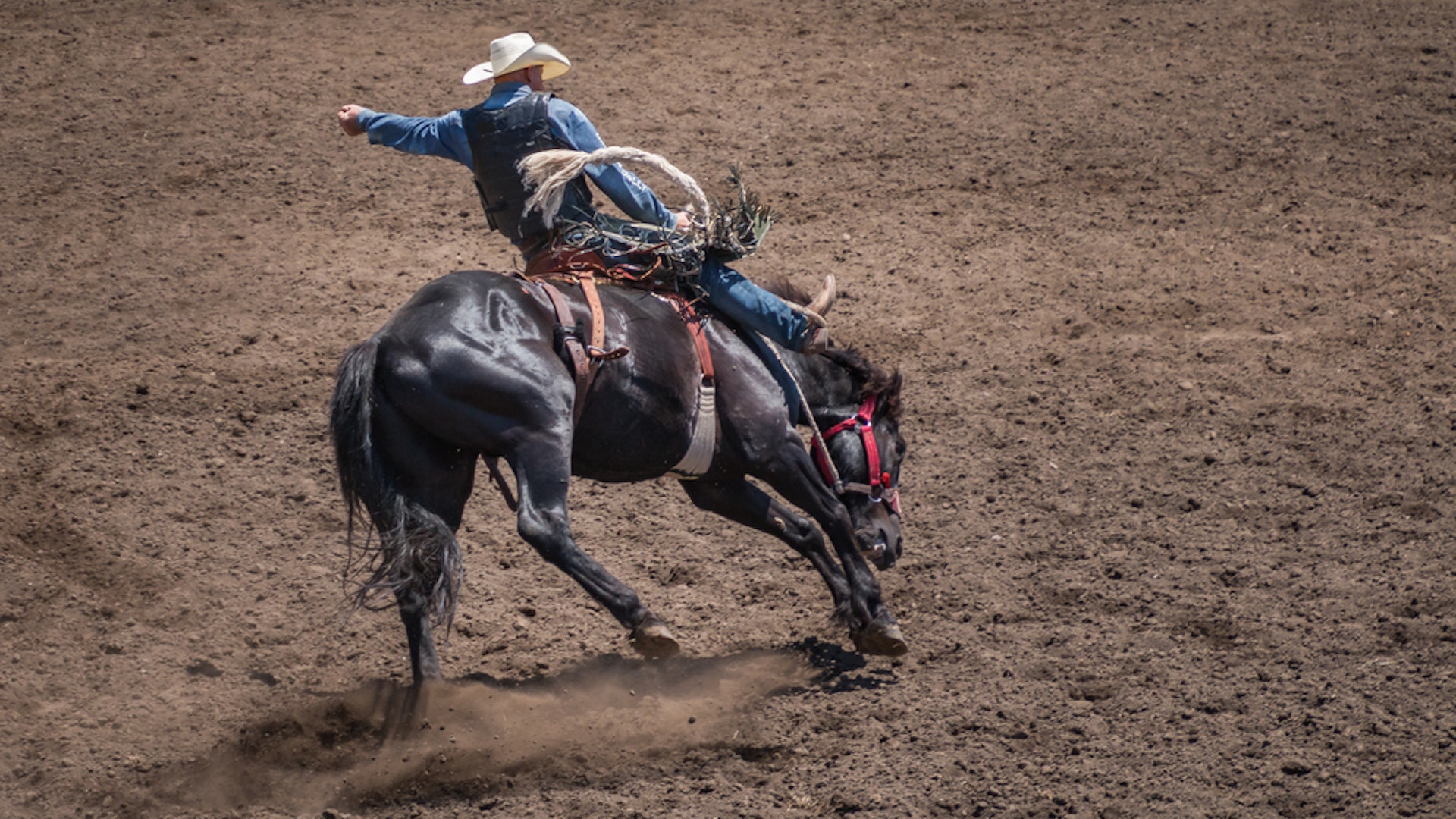 Everything You Need to Know About the Mount Isa Rodeo - Isa Hotel